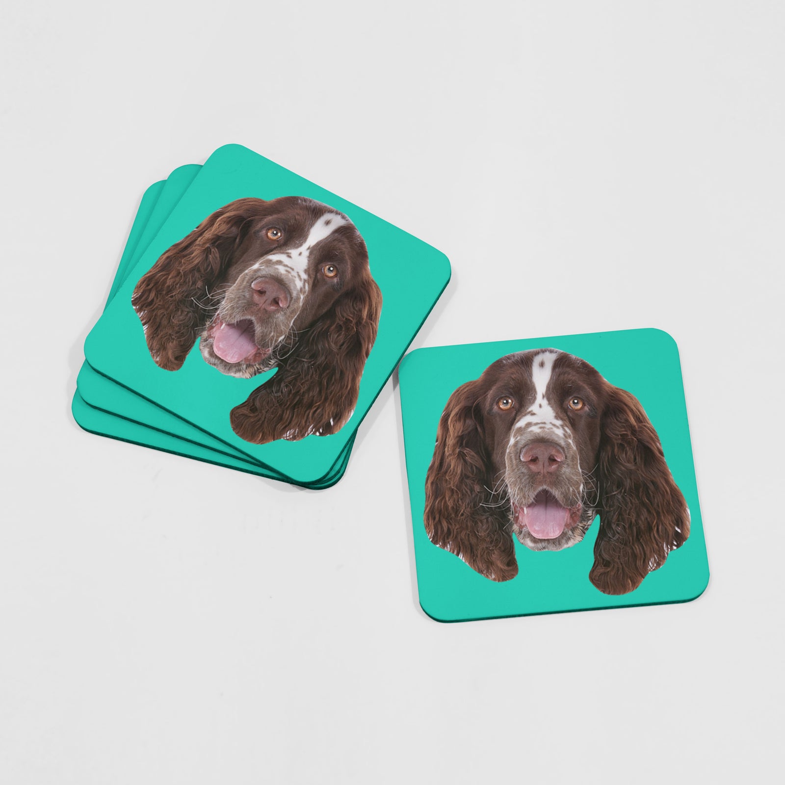 Personalised Dog Coasters - Your Dog On a Coaster
