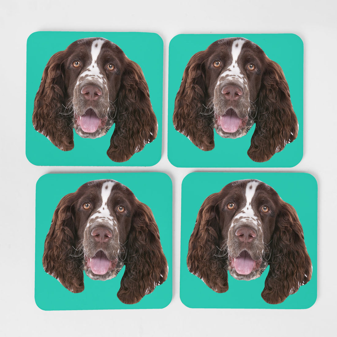Personalised Dog Coasters - Your Dog On a Coaster