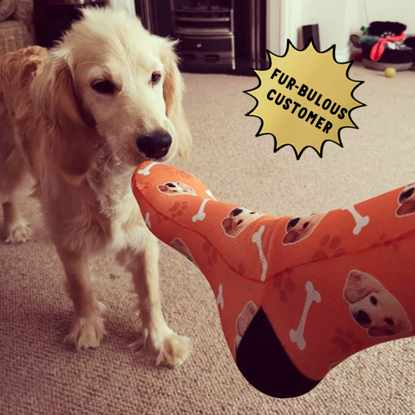 Personalised Dog Socks - Custom Dog Photo Socks